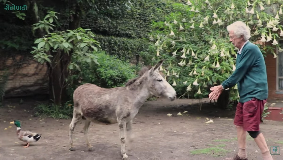 Nepal's Digital Newspaper - Setopati